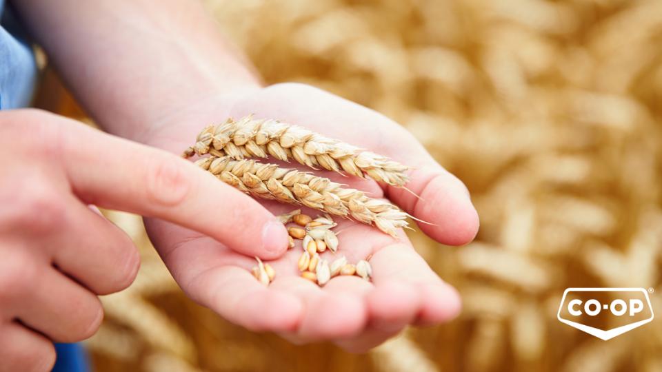 Co-op Agro | Swan Valley Co-op